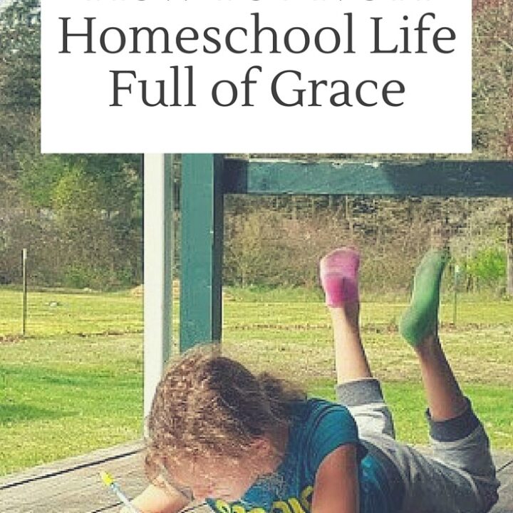 Our Full-time Working and Homeschooling Lifestyle
