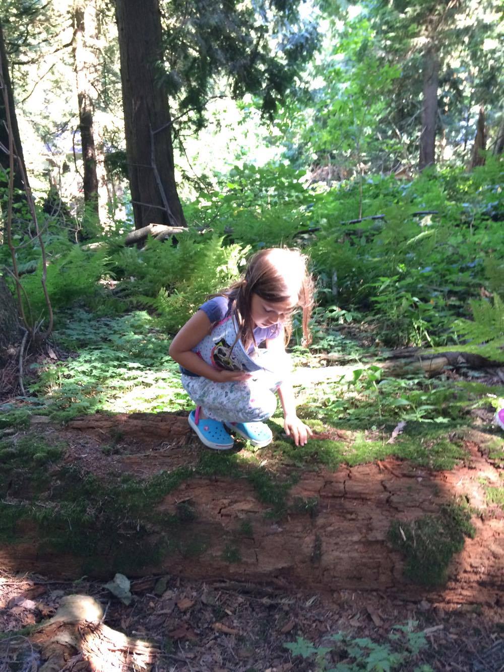 Our Nature Study Curriculum: Exploring Nature With Children. - They ...