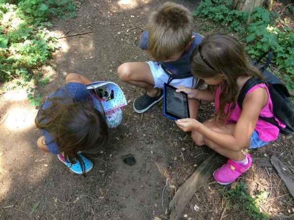 Our Nature Study Curriculum: Exploring Nature With Children. - They ...