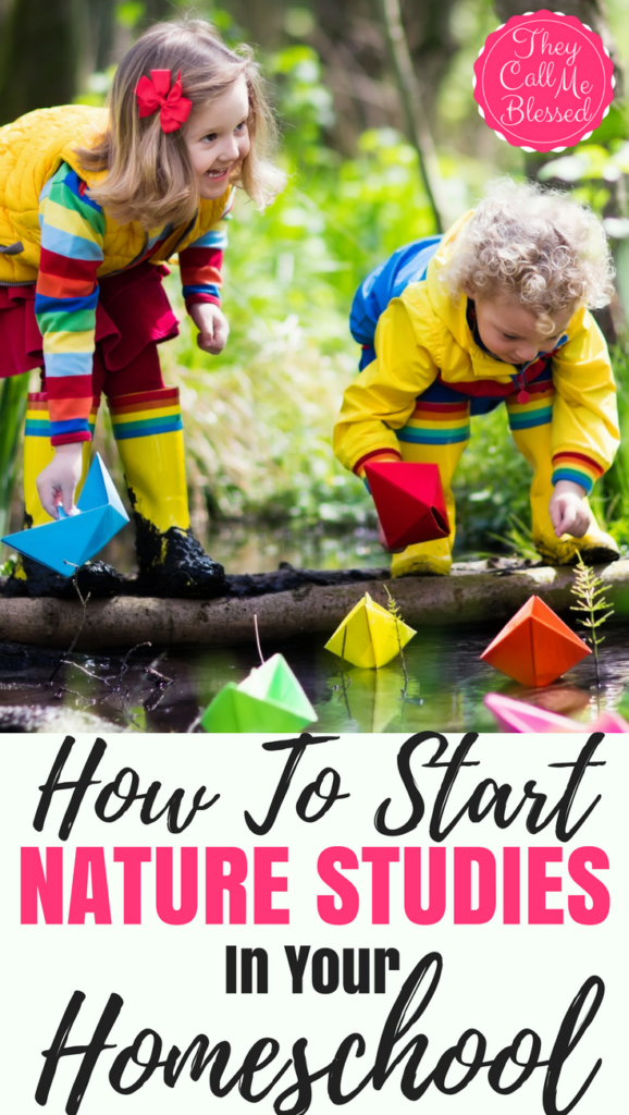 How To Start Nature Studies In Your Homeschool They Call Me Blessed
