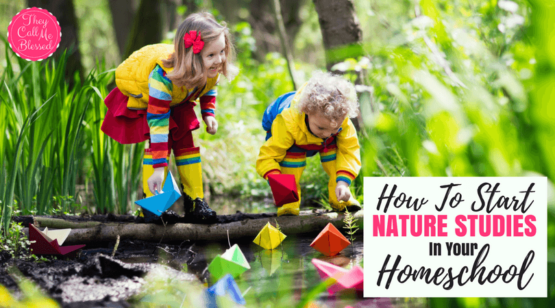 How to Start Nature Studies in Your Homeschool - They Call Me Blessed