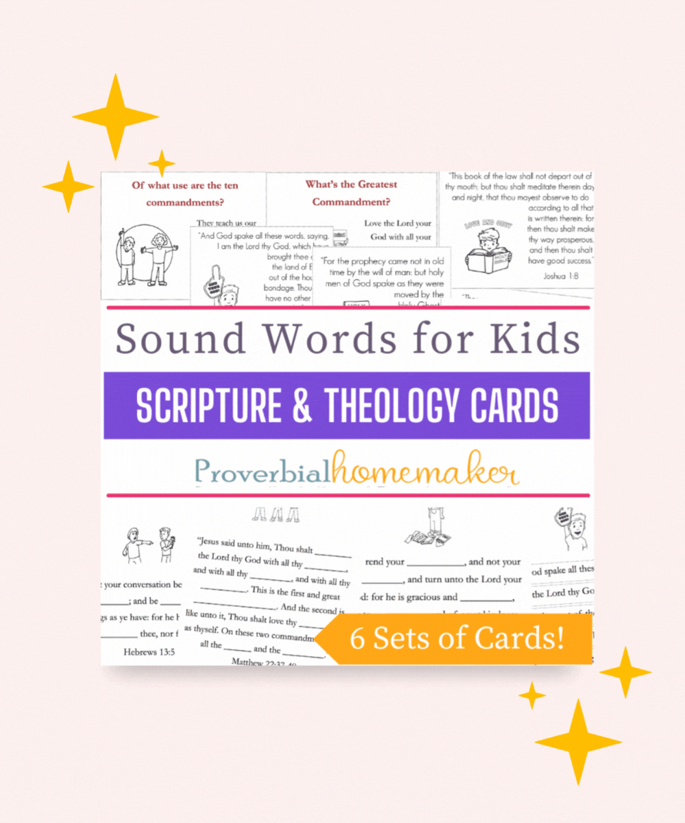 Scripture & Theology Card Bundle (ESV and KJV)